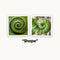 OuiSi Nature | Visual Connection Games for Creative Play & Discovery