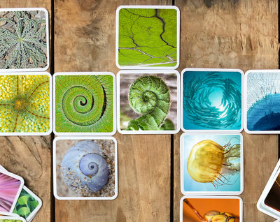OuiSi Nature | Visual Connection Games for Creative Play & Discovery